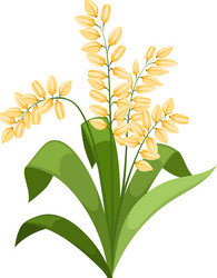 Rice Plant Cartoon Vector Images (over 1,000)