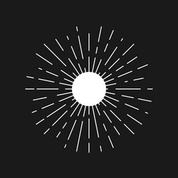 Sun stylish and graceful monogram design Vector Image