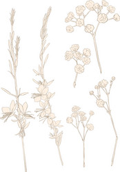 Spring flowers set outline hand drawing Royalty Free Vector