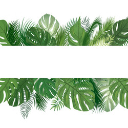 Tropical palm leaves banner Royalty Free Vector Image
