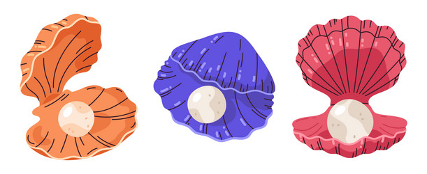 Open clam shell with pearl scallop seashell Vector Image