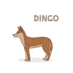 Cartoon Dingo Vector Images (over 190)