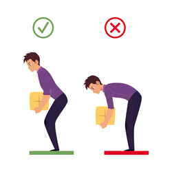 Correct and Incorrect Lifting Vector Images (over 330)