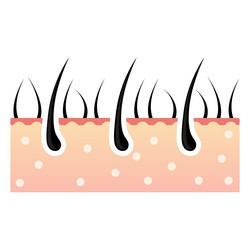 Hair Vector Images (over 470,000)