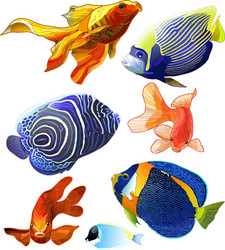 Set of colorful realistic isolated butterflies Vector Image