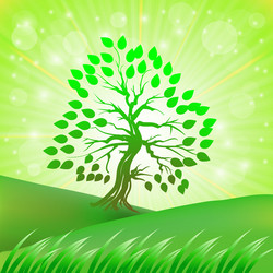 Green tree card Royalty Free Vector Image - VectorStock
