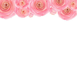 Pink rose border Royalty Free Vector Image - VectorStock