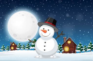 Snowman christmas in the winter night background Vector Image