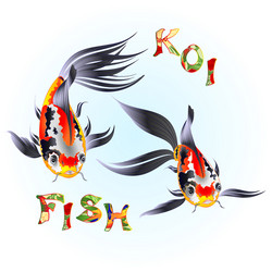 Fish white koi carp two polygons Royalty Free Vector Image