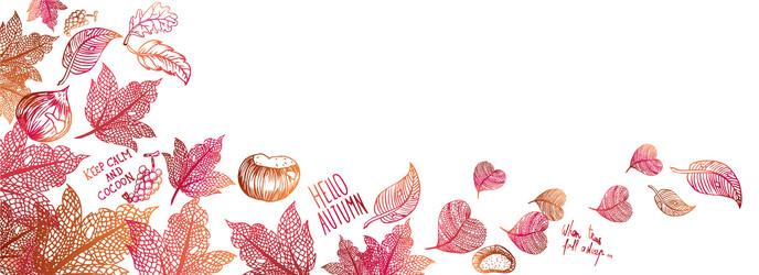 Autumn doodles background Royalty Free Vector Image
