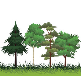 Cartoon bushes natural ecology plant shadow Vector Image