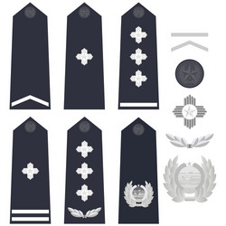 Indian Police Service Officer Rank Insignia