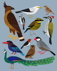 Javan Vector Images (37)