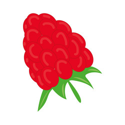 Raspberry berry cartoon Royalty Free Vector Image