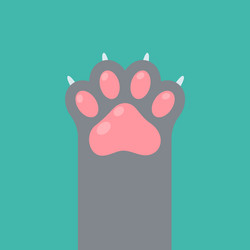 Dog and cat paws with sharp claws cute animal Vector Image