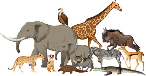 Wild Animal Group Vector Images (over 13,000)
