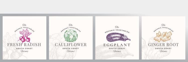 Organic vegetables logo templates set hand drawn Vector Image