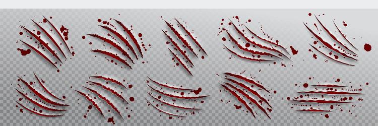 Scratching realistic style blood color Royalty Free Vector