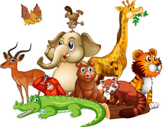 Animals cartoon Royalty Free Vector Image - VectorStock