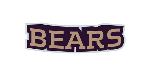 Bold sports font for bear mascot logo text style Vector Image
