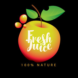Banner with inscription fresh juices and splashes Vector Image