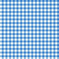 Blue seamless table cloth texture diagonal lines Vector Image
