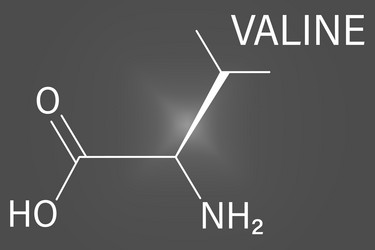 Amino Vector Images (over 3,400)