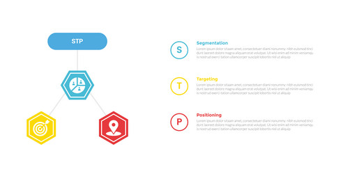 Stp marketing analysis infographics template Vector Image