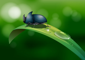 Drawing of a grumpy beetle with a long neck Vector Image