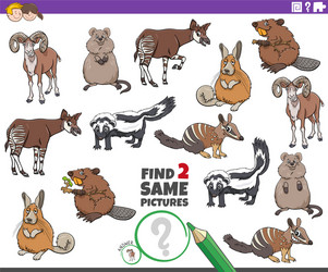 Viscacha Vector Images (81)