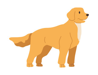 Labrador Vector Images (over 10,000)