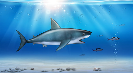 Shark Vector Images (over 27,000)
