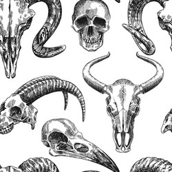 Doodle bull skull seamless pattern Royalty Free Vector Image