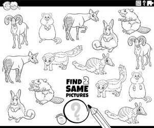 Viscacha Vector Images (81)