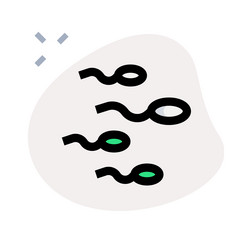 Sperm is the male reproductive cell or gamete Vector Image