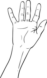 Open human hand palm - black icon on white Vector Image