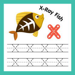 Alphabet x with x-ray fish Royalty Free Vector Image