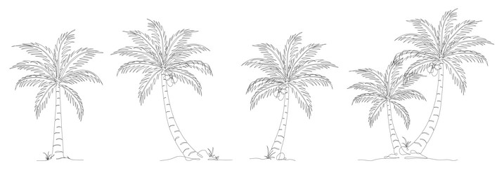 Coconut tree line art Royalty Free Vector Image