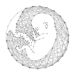 Embryo human fetus in womb from futuristic Vector Image