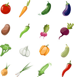 Set of color vegetables icons Royalty Free Vector Image