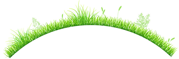 Green grass in the shape of an arc Royalty Free Vector Image