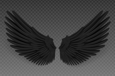 Realistic angel wings Royalty Free Vector Image