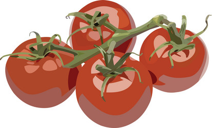 Tomato Vector Images (over 150,000)