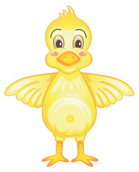 Little duck Royalty Free Vector Image - VectorStock