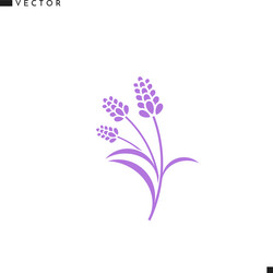 Lavender Vector Images (over 15,000)