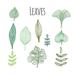 Leaves Vector Images (over 660,000)