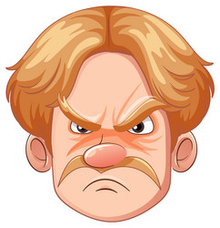 Adult man with grumpy expression Royalty Free Vector Image
