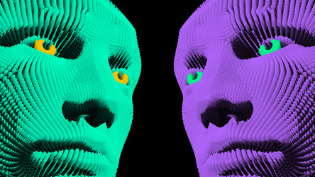 Two opponents facing each other conflict Vector Image