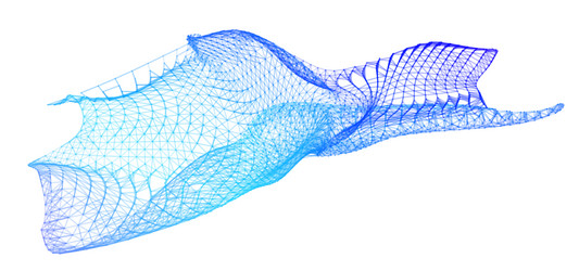 Network lines net wave information flow Royalty Free Vector