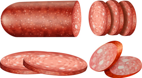 Cartoon salami Royalty Free Vector Image - VectorStock